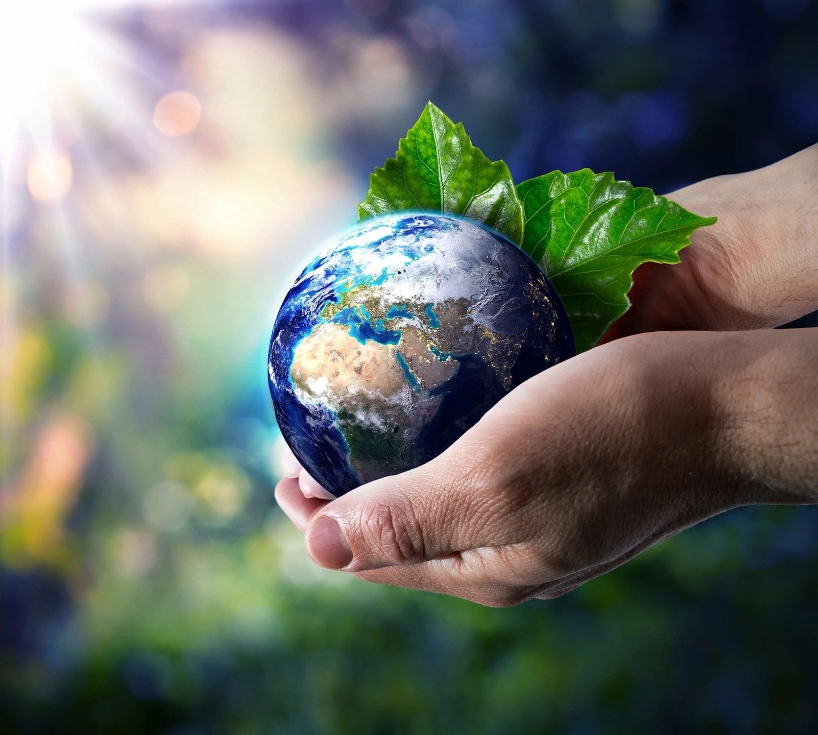 Lead Detection Experts - Environmental Lead Detect Inc.
